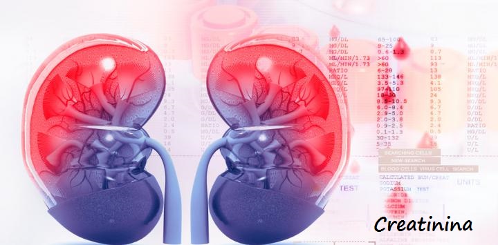 ¿Qué es la creatinina? - Gadgets Magazine